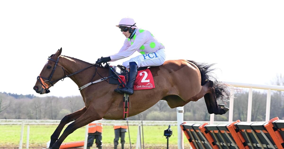 Success for the Townends but Limerick horses dominate at Cork Racecourse