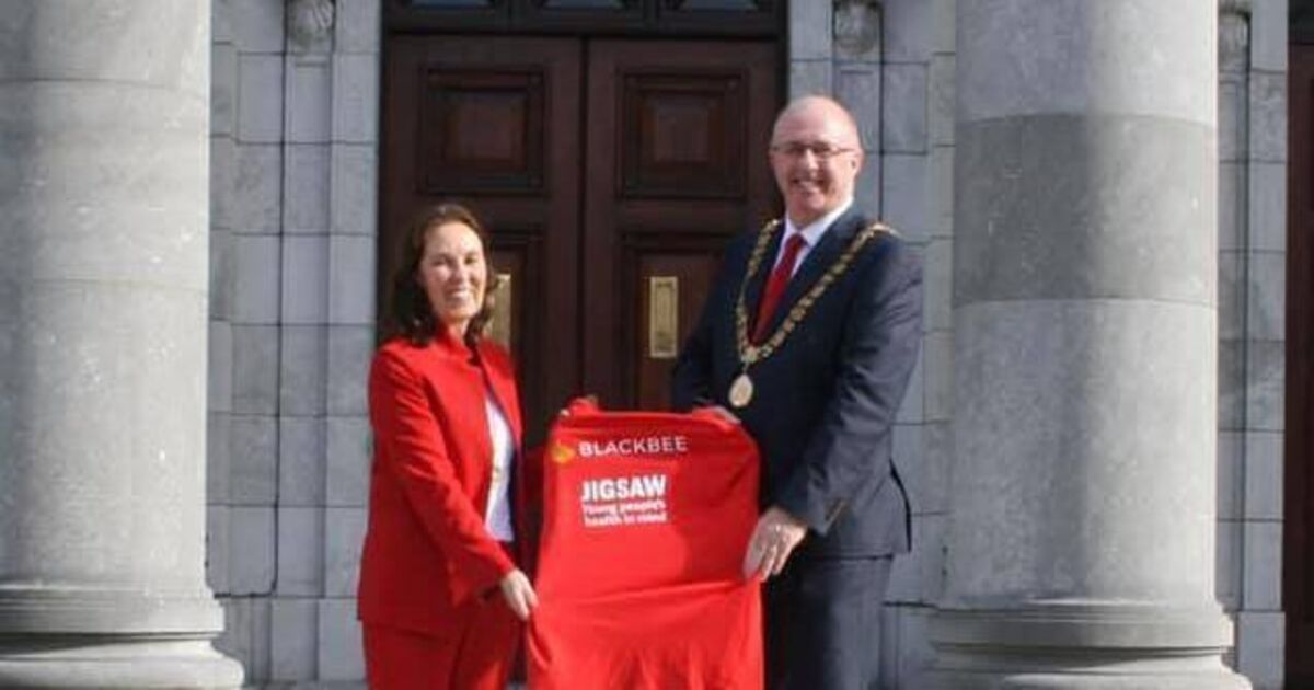 Cork supporters raised €12,560 for Rebel camogie and Jigsaw