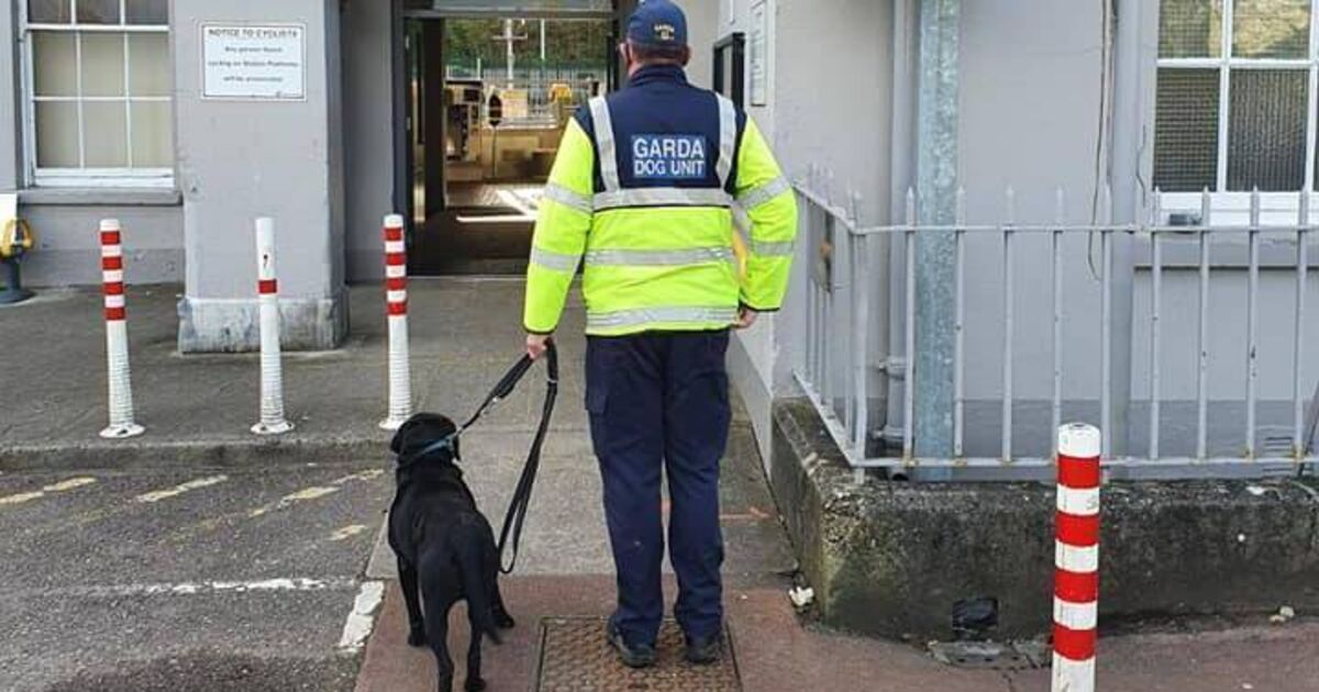 Cork Garda Dog Unit carry out successful patrol at Mallow Train Station