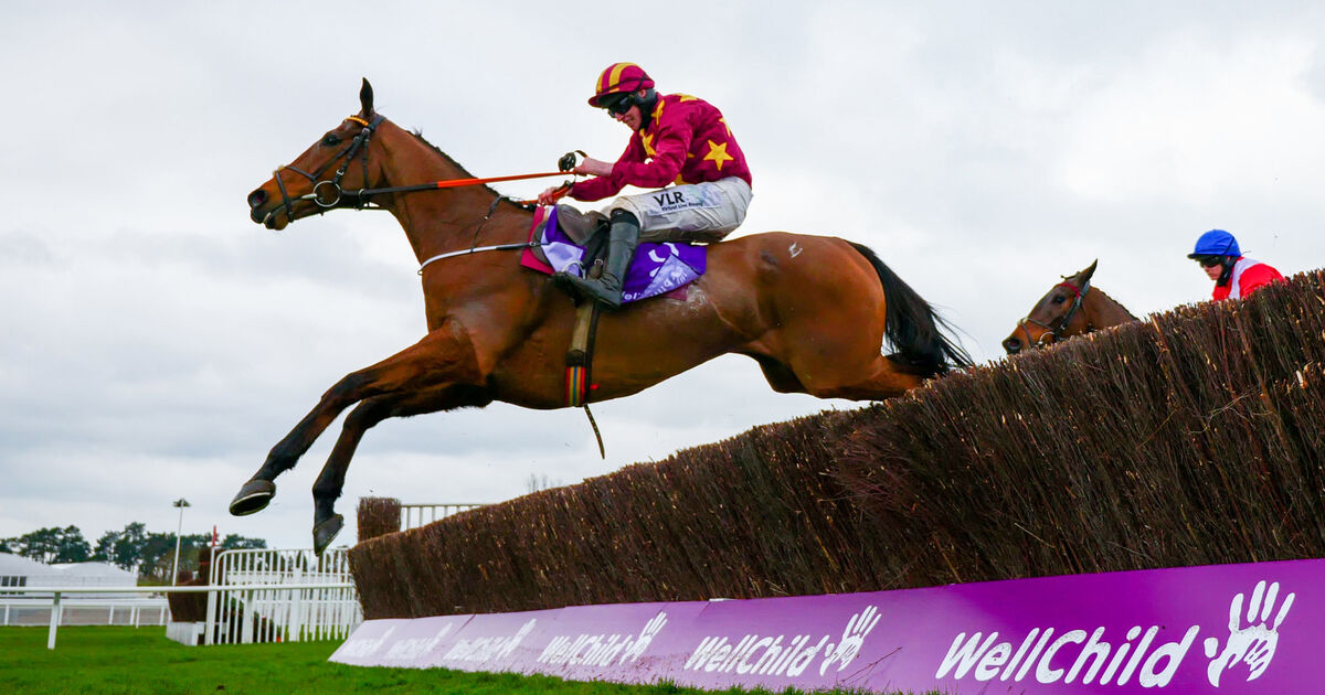 Jane Mangan: Top horses set to thrill at the Punchestown Festival