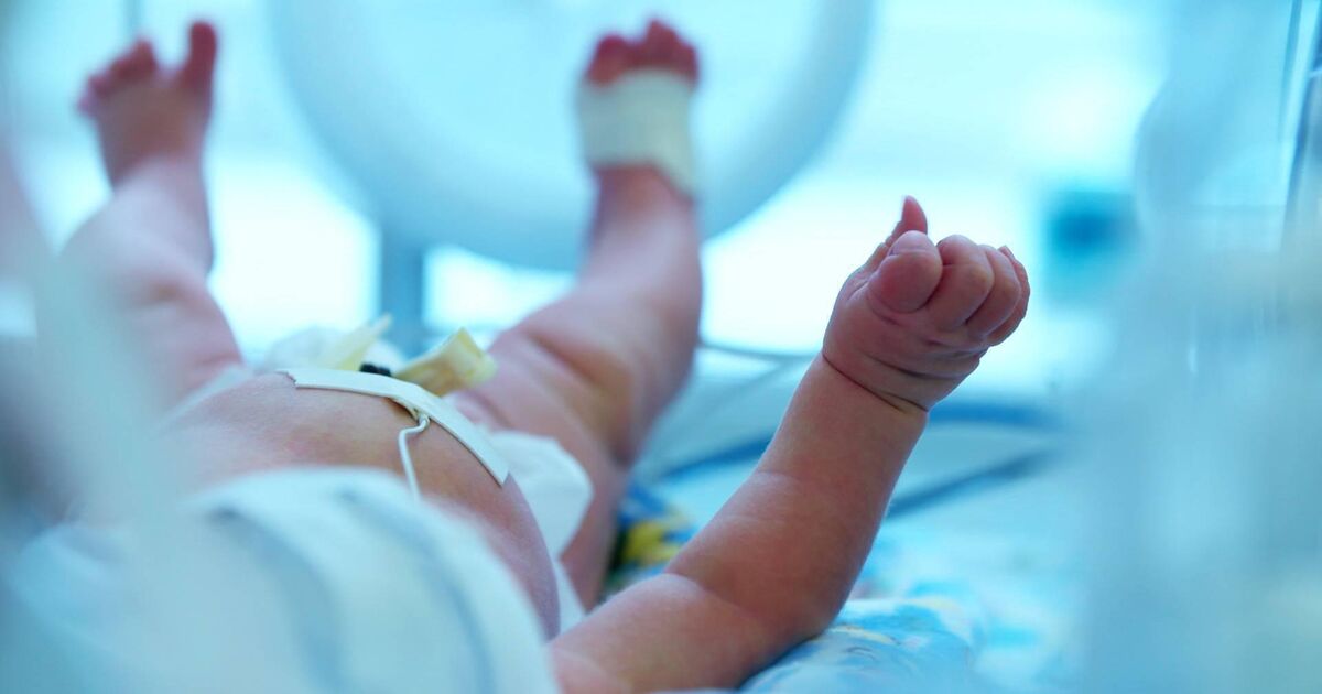 Providing ‘end of life care at the beginning of life’: Donations help ...