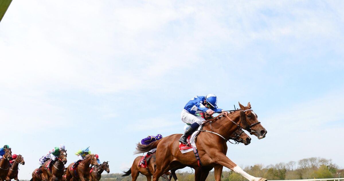 Cork racing preview: Light will have the Measure of his rivals