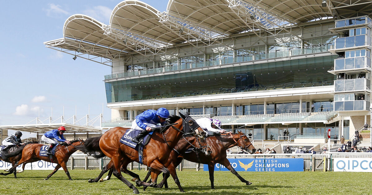 Jane Mangan: Jim Bolger sets sights on more Classic success with Poetic ...