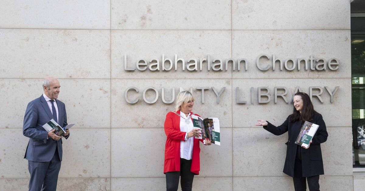 Ambitious new Cork county libraries plan launched