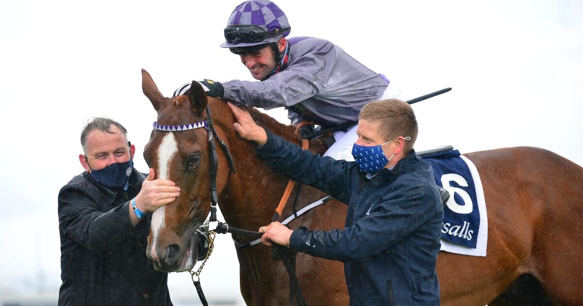 Jane Mangan: Brilliant colt Mac Swiney targets British racing's top prize