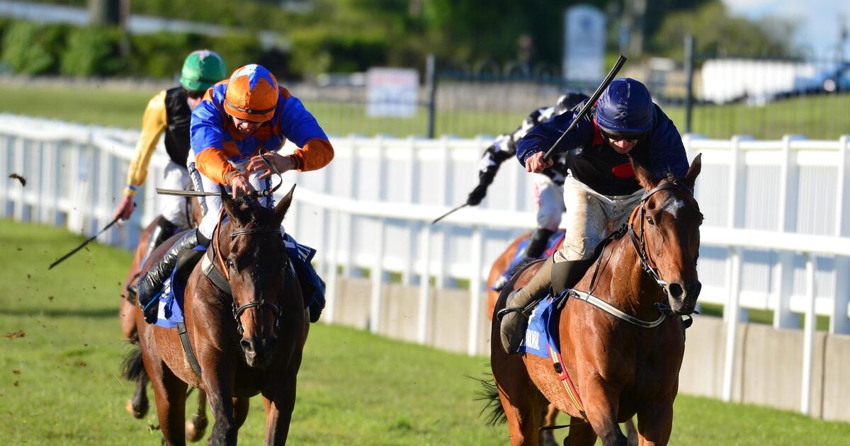 Dunmanway jockey Philip Enright rides four winners in a week