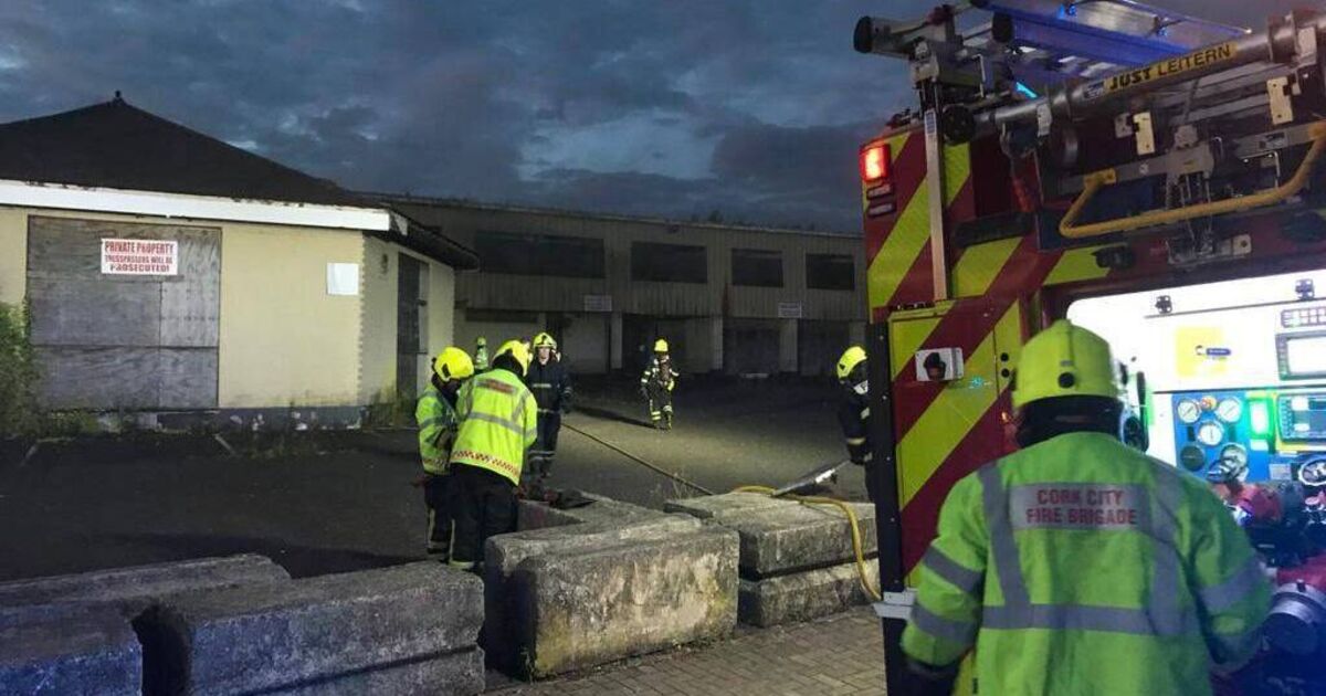 Fire crews respond to more than 50 incidents including call-out at ...