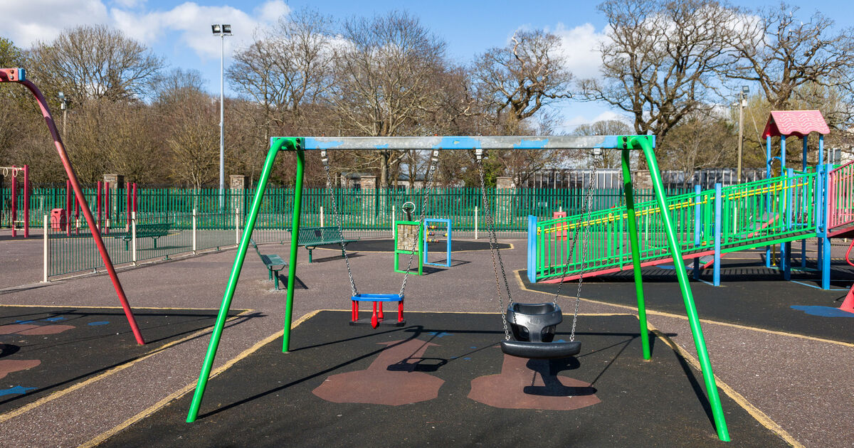 Council to carry out review and assessment of playgrounds in Carrigaline MD