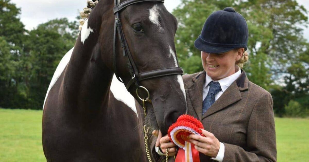 ‘We’re all on a high’: Elation as Cork rescue horse has double victory ...