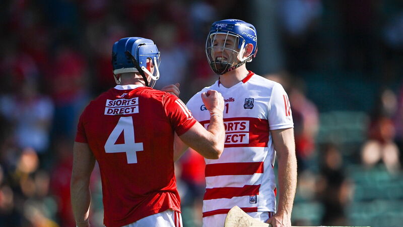 Unsung heroes stepped up for the Cork hurlers against Clare
