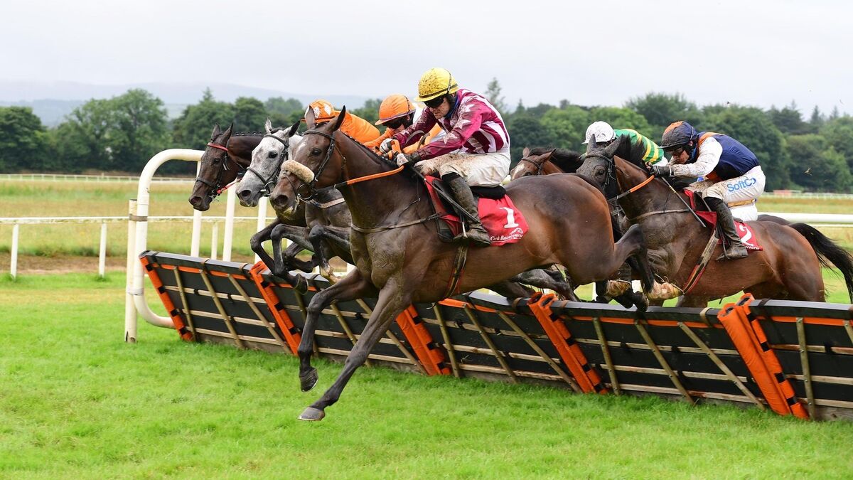 All eight favourites beaten at Cork racecourse, the James Dullea ...