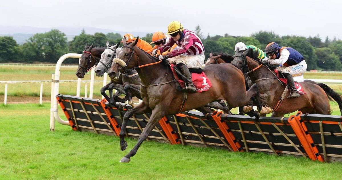 All eight favourites beaten at Cork racecourse, the James Dullea ...