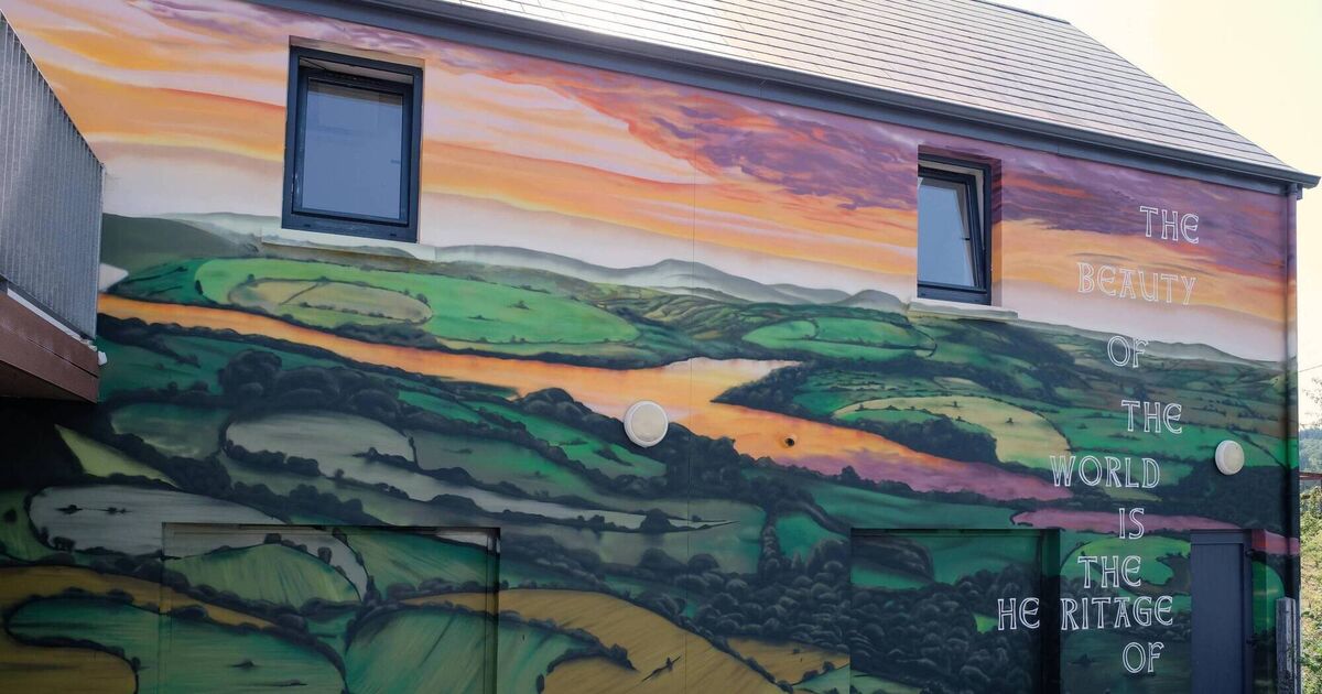 New courtyard mural unveiled at museum