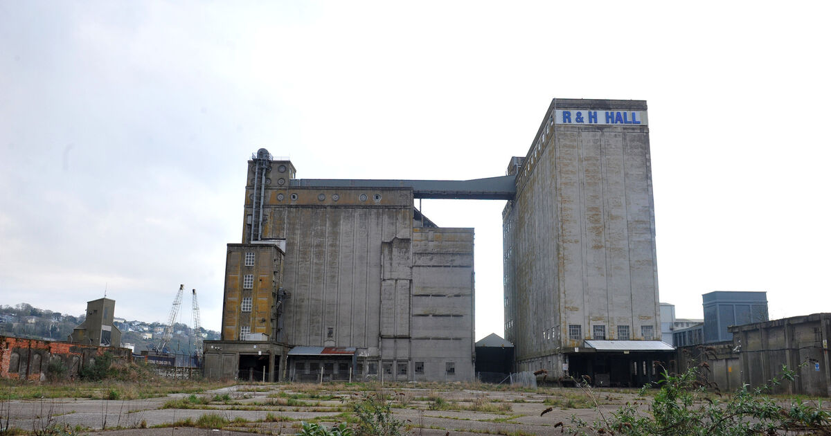 Economist warns Cork docklands development could be compromised by ...