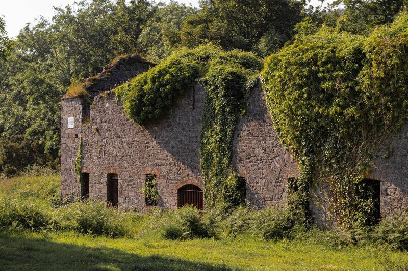 Enjoy a visit to one of Cork’s most interesting ruins