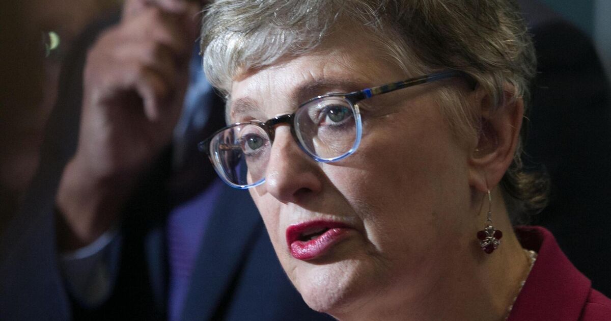 Zappone told of appointment to envoy role five months before Cabinet ...