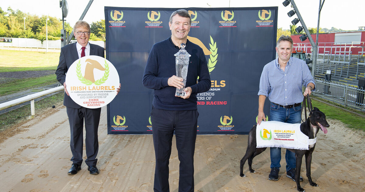 The Patrick Guilfoyle trained Good Cody will start as one of the ...