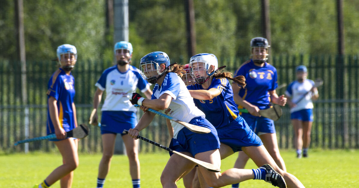 Cork club camogie: Inniscarra back on form against Muskerry