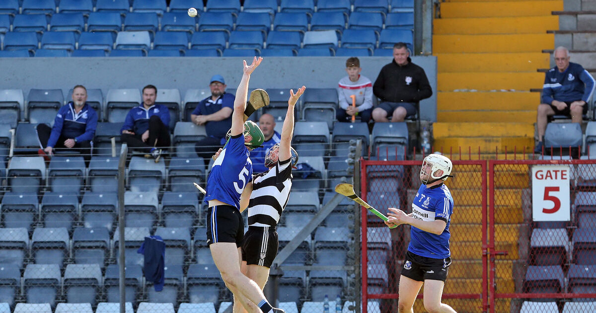 Sarsfields hurling is flying high from underage through to the seniors