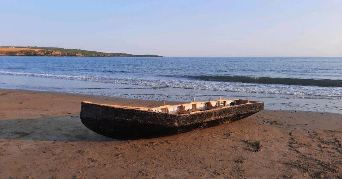 'I started with small pieces': Cork student teaches himself how to ...