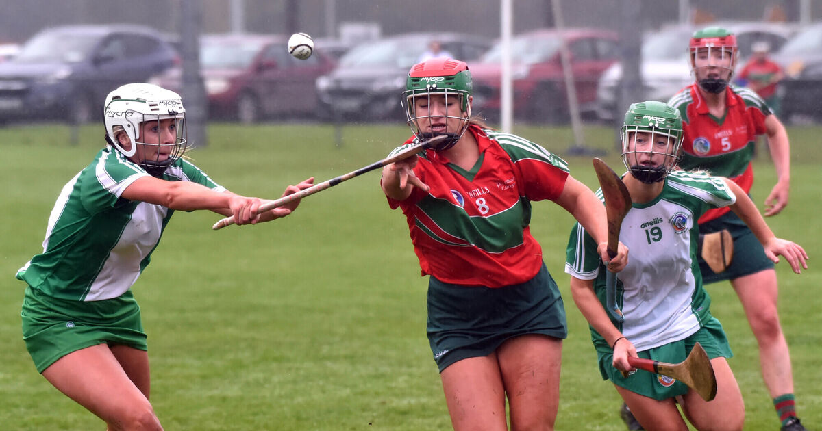 Cork camogie: Fr O'Neill's bounced back from early loss to lift Nano ...