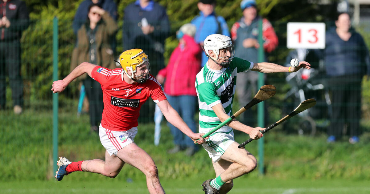 Valley Rovers remain in the hunt for two county titles