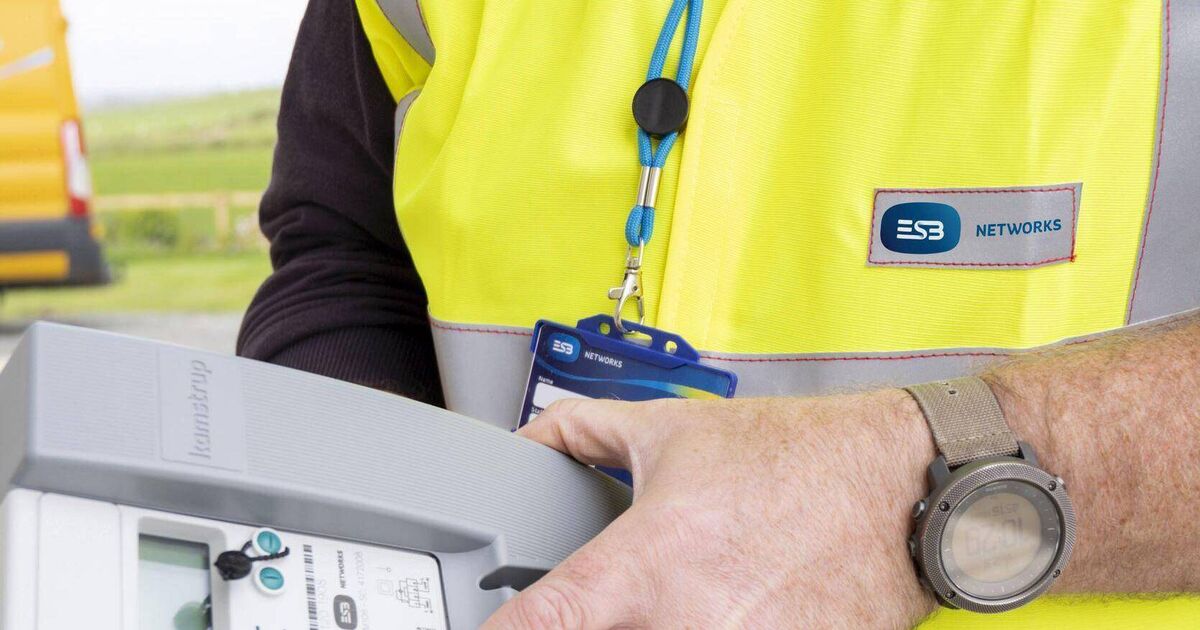 ESB Networks pledge to install 40,000 smart meters monthly for next ...