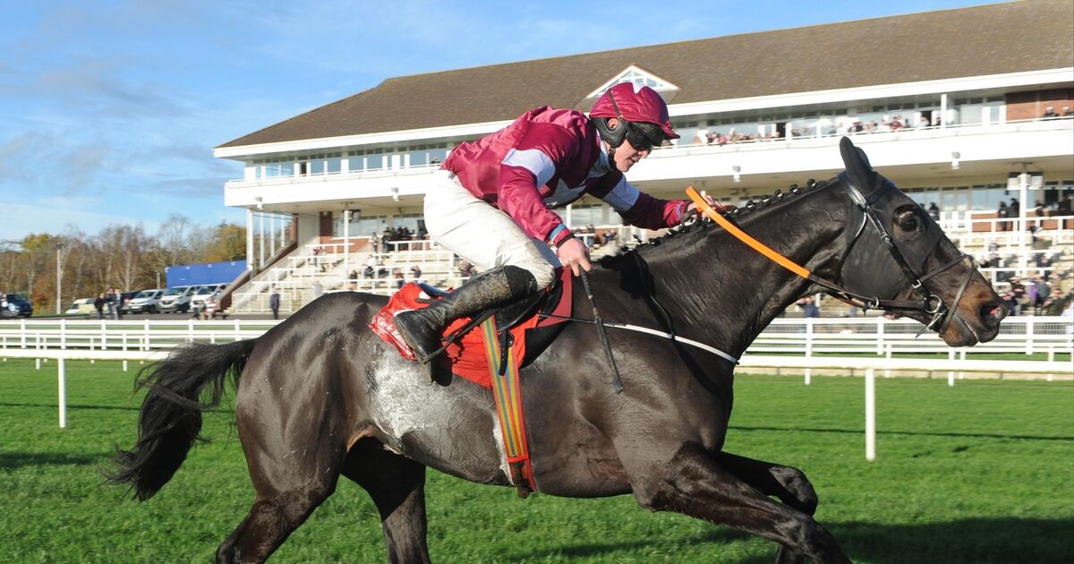 Magic leaves the field in a Daze at Cork Racecourse Mallow