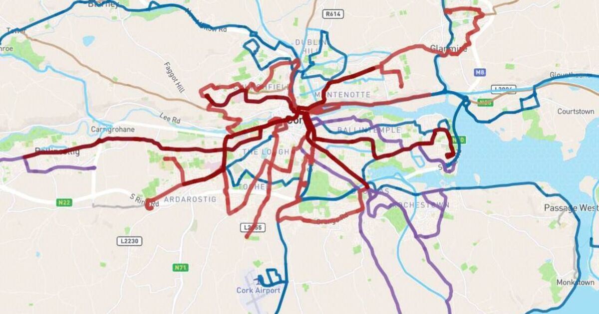 Councillors critical of lack of bus routes on Cork's northside