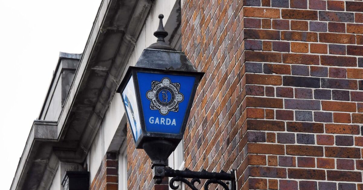 Garda gives start to 26 interns across country