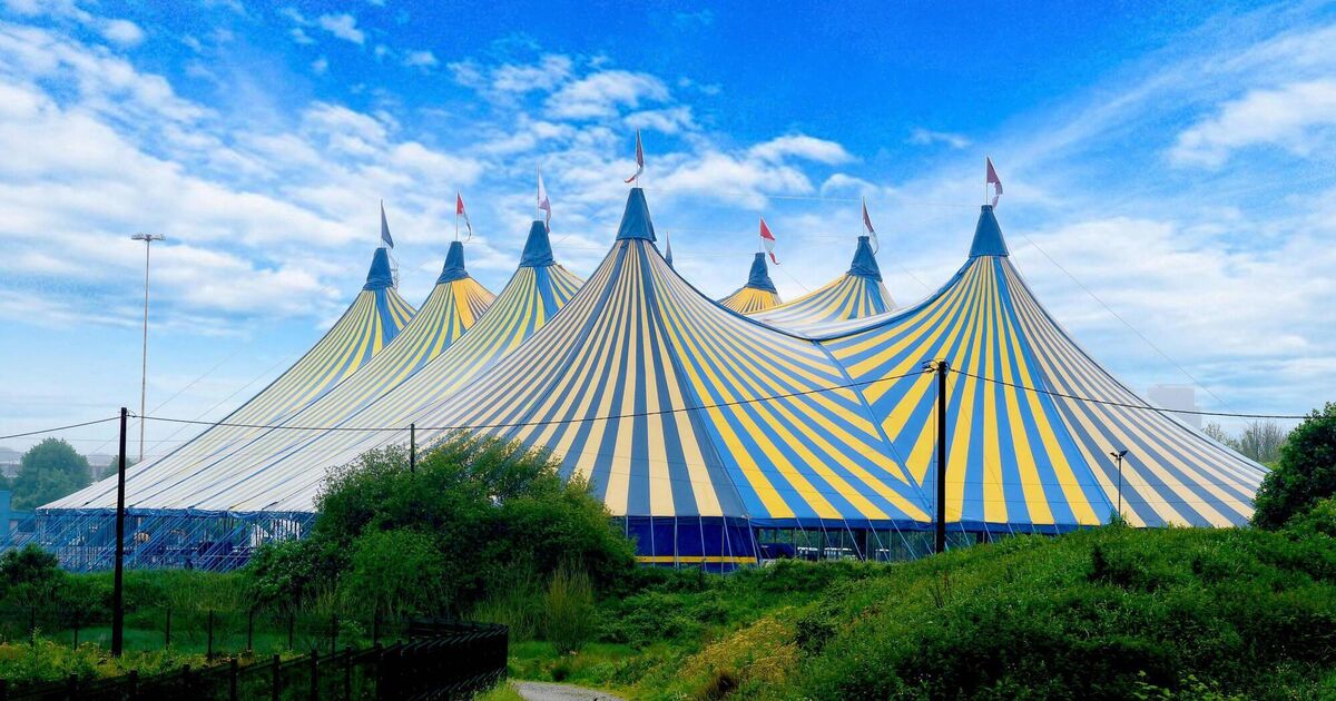 Top comedian announces Cork gig next summer