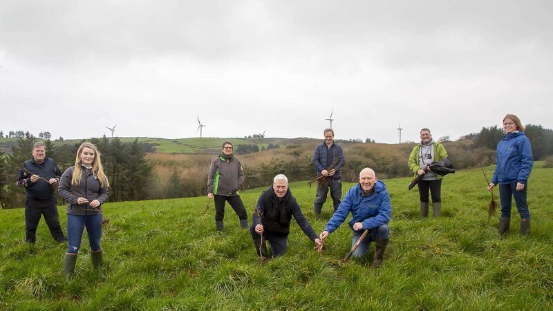 Carbery Group to plant further 60,000 trees in West Cork