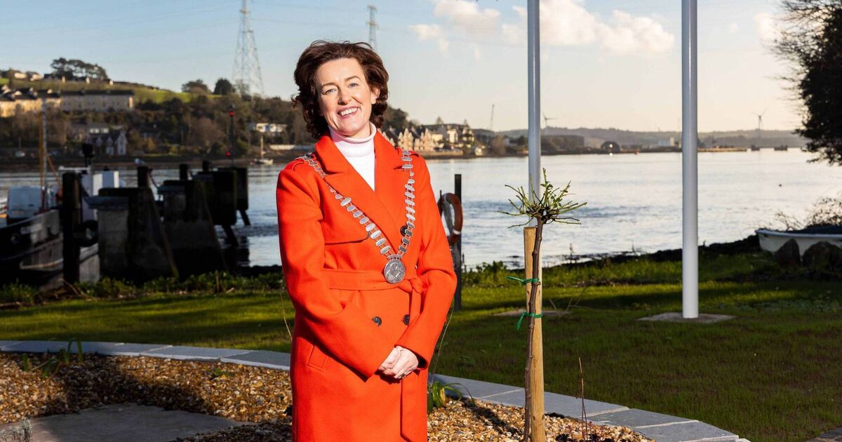 Cork County Council announces €1.8 million funding for community and ...