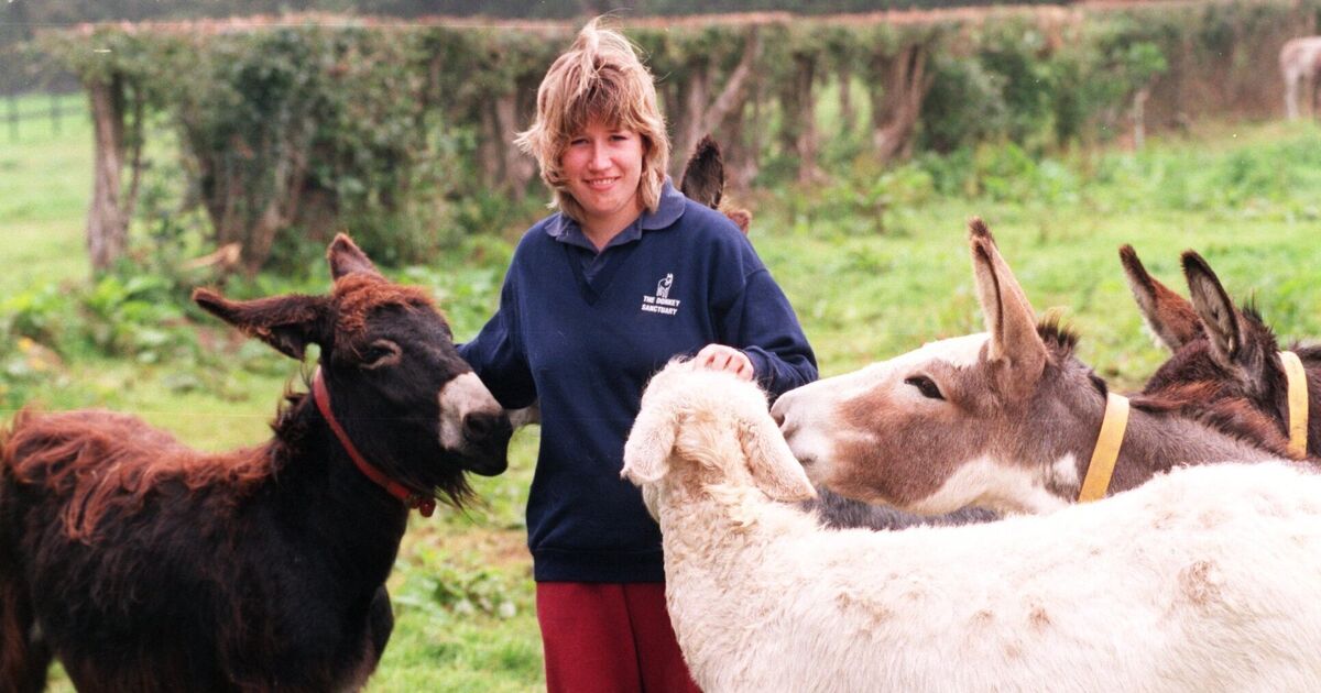 35 years of Cork's Donkey Sanctuary