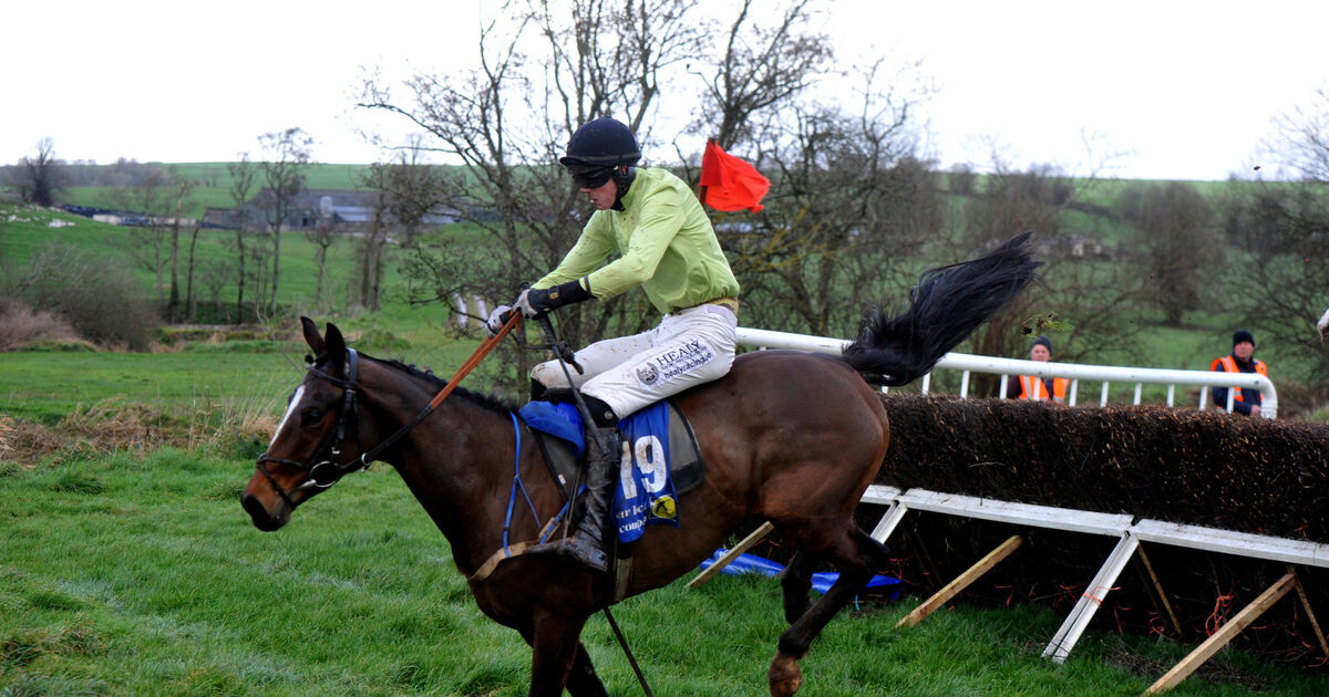 Brian Dunleavy's two-timer a highlight on a great day of point to point ...
