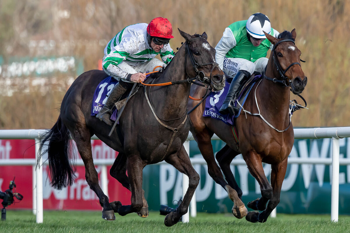 Paul Townend and Davy Russell deliver again at Leopardstown