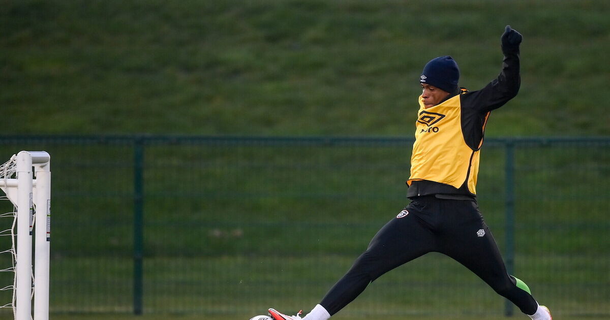 Cork players set for key roles in Republic of Ireland games at the Aviva