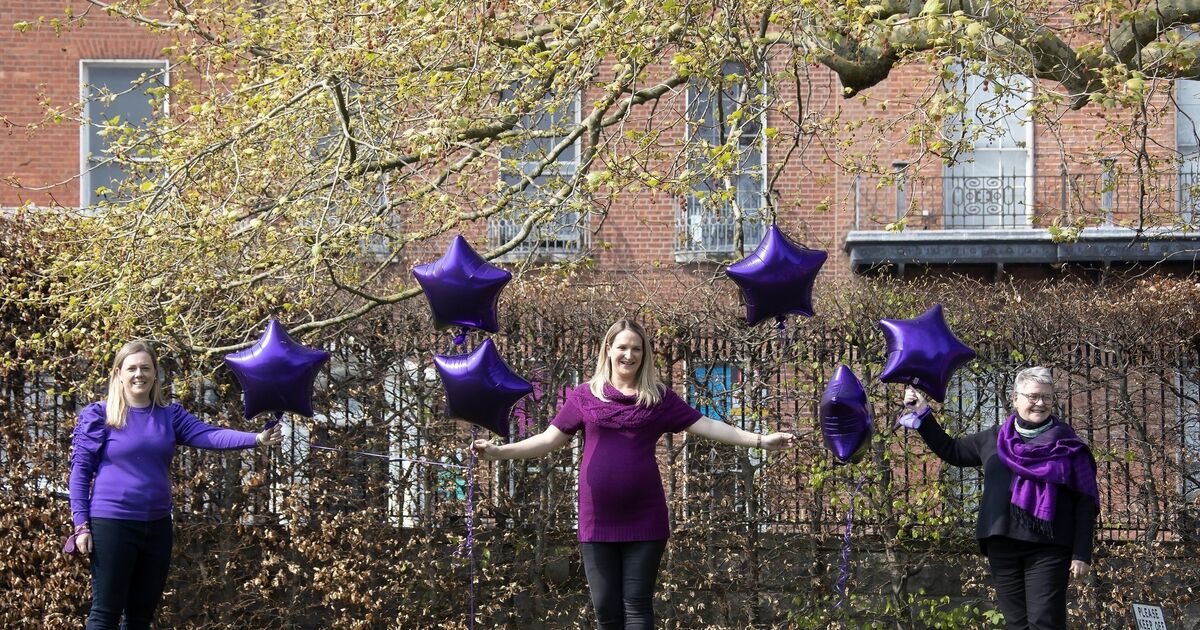 Gardaí mark Go Purple Day for domestic abuse services