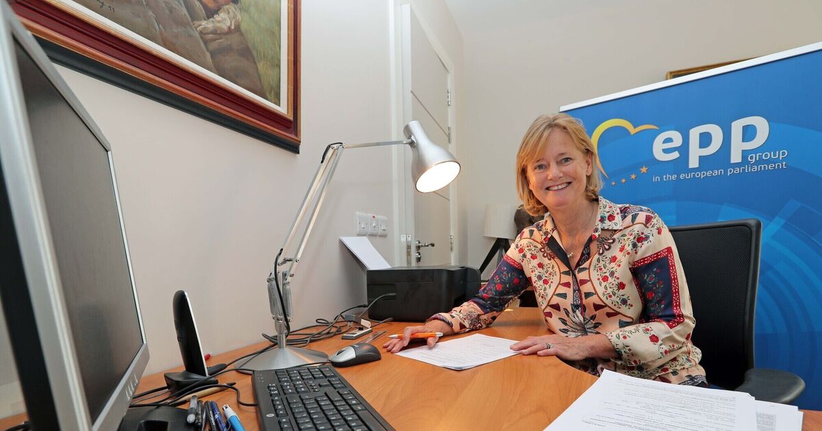 MEP Deirdre Clune: Europe's AI plans are good news for Ireland