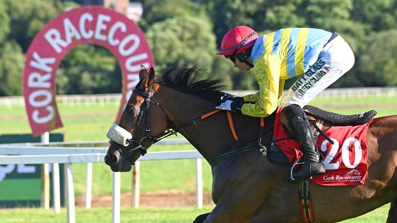 A night to remember at Mallow for Josh Halley who records his first ...