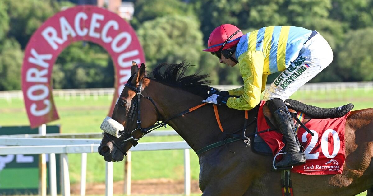 A night to remember at Mallow for Josh Halley who records his first ...