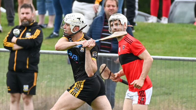 Fermoy on a roll in both codes after football and hurling wins