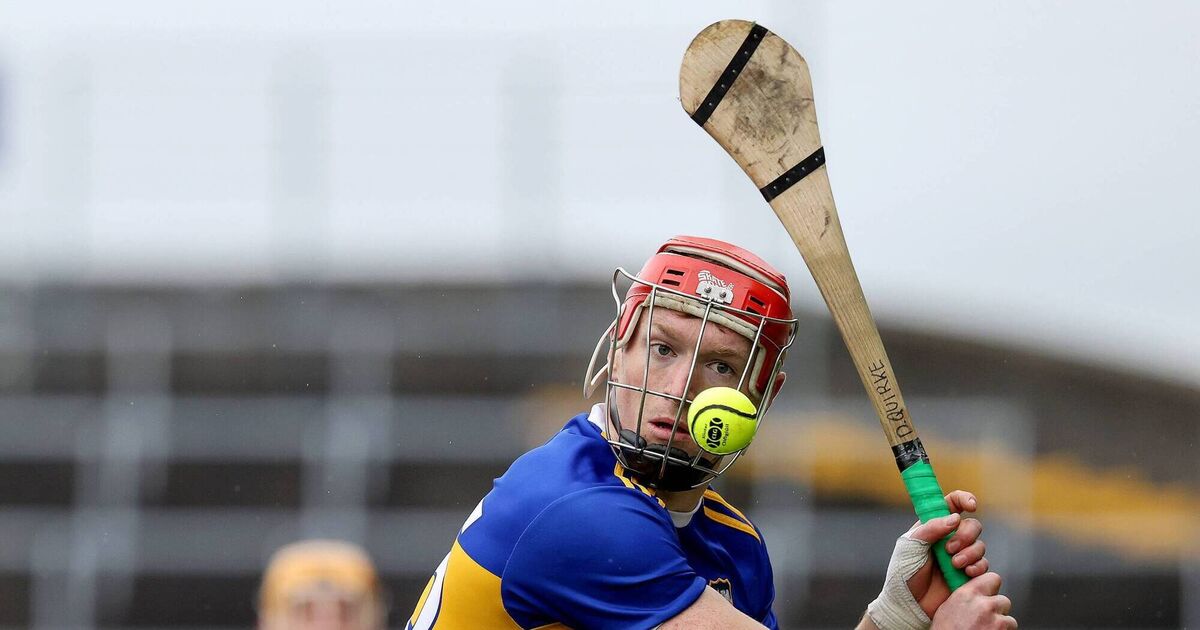 Micheál Martin leads tributes to hurler ‘taken far too young’ after ...