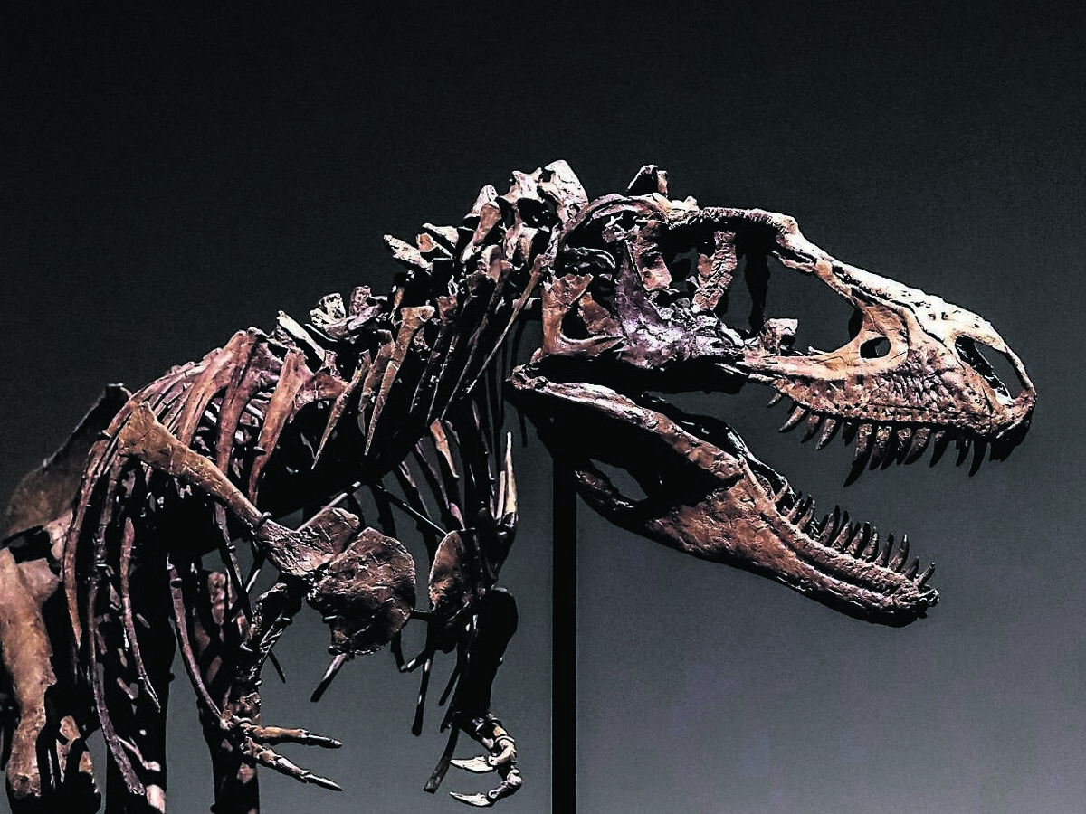 Vladimir Putin Riding A Dinosaur