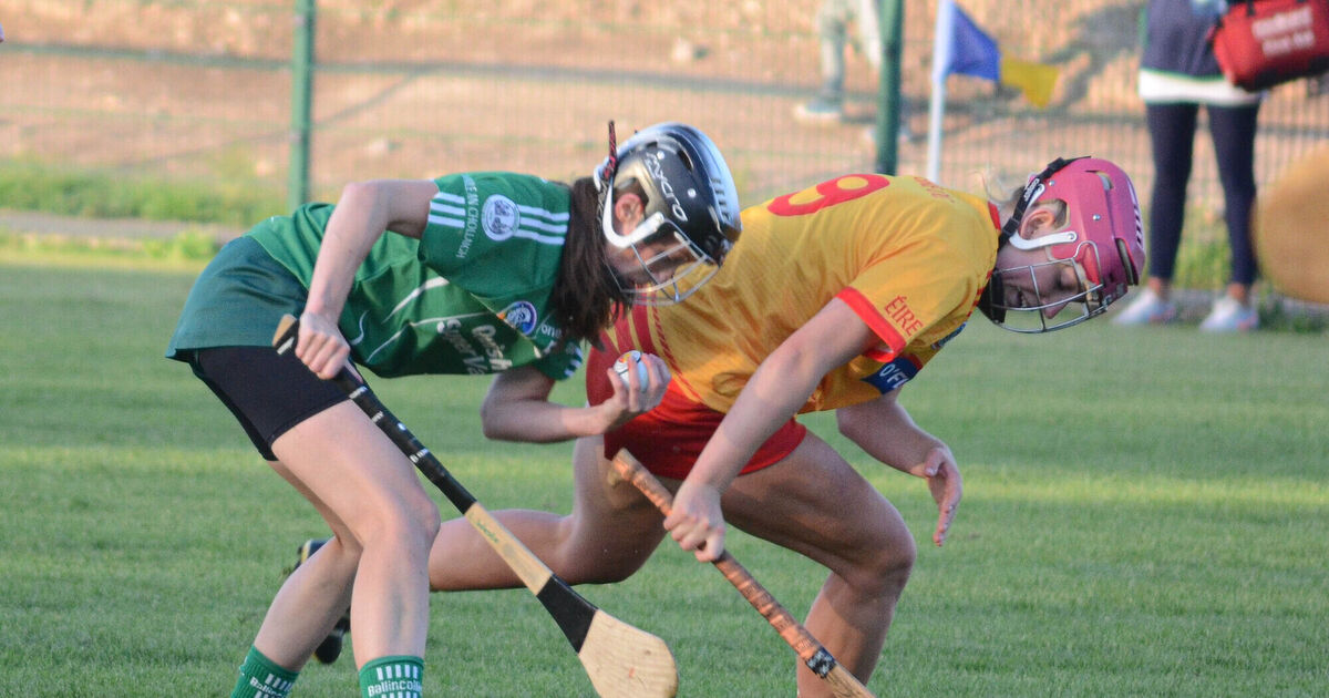 Cork camogie: Impressive Éire Óg see off local rivals Ballincollig