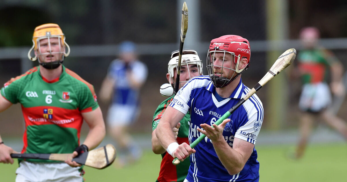 Three sides in the hunt for final Premier Junior hurling knockout spot