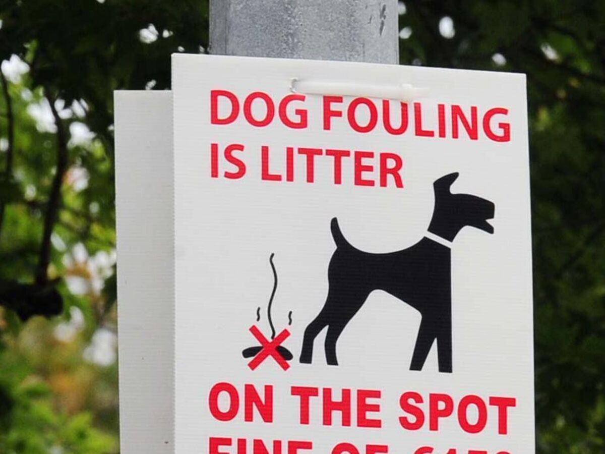 A Dog Keeps Fouling In My Garden