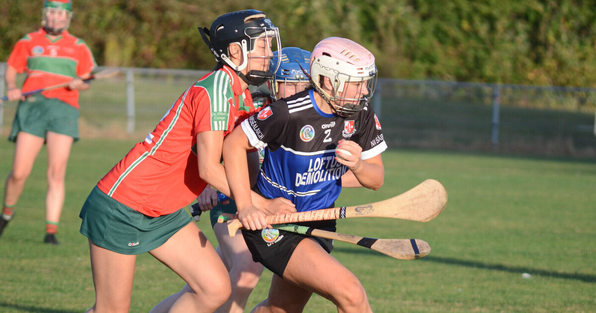 Cork Camogie: Sarsfields claim impressive win over Fr O’Neill’s