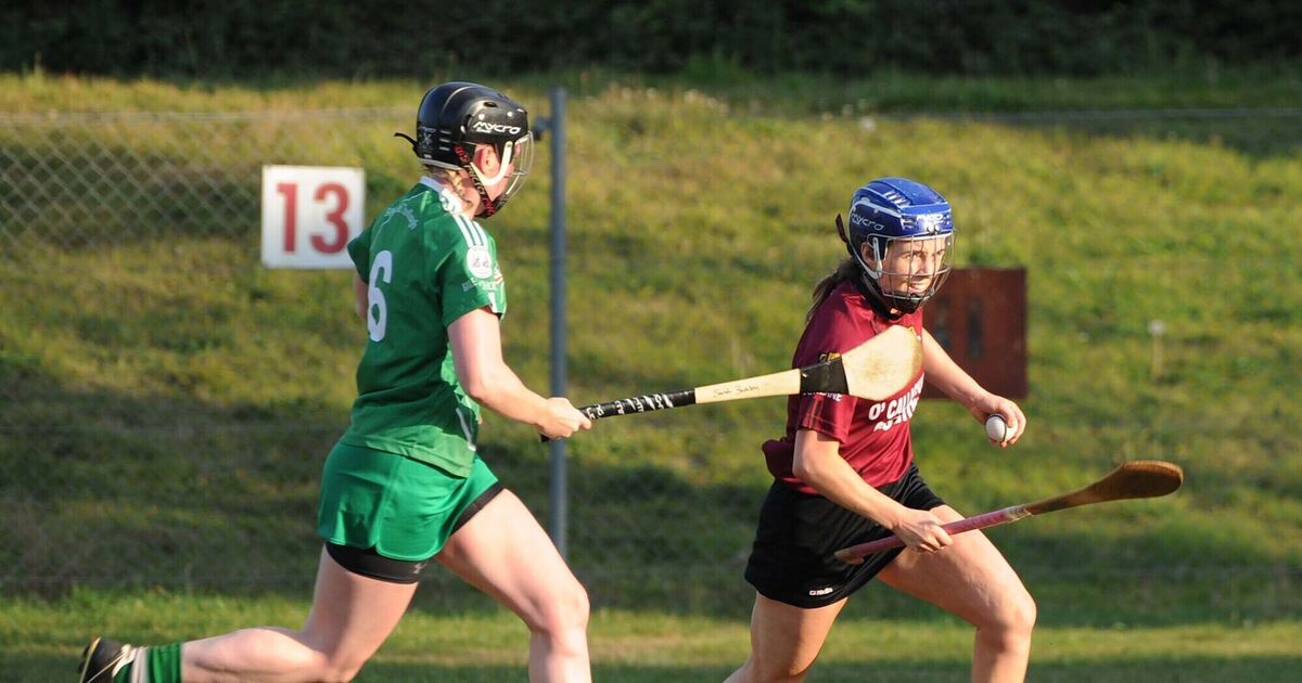 Cork camogie: Enniskeane make short work of Ballincollig to get back on ...