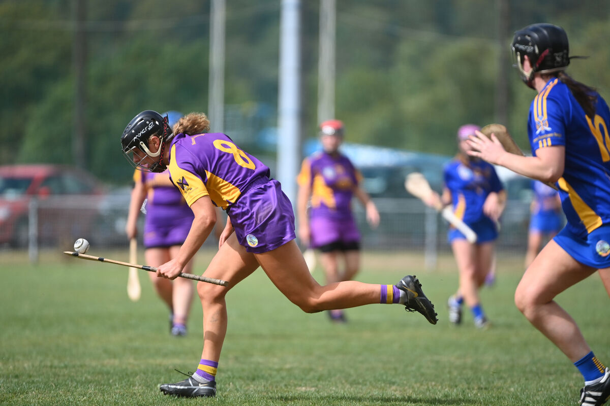 Cork Camogie: Barrs impress again with victory over St Catherine's